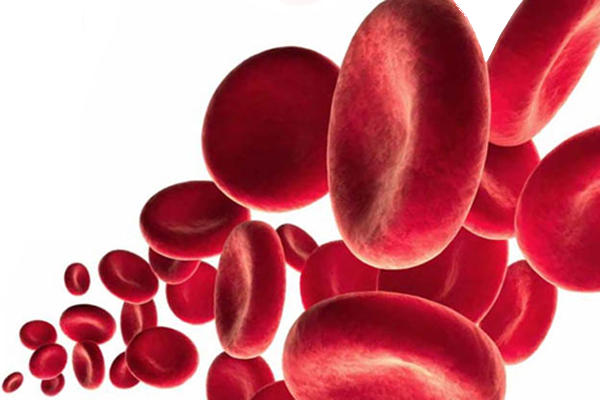 Déficit de hierro en niños: principales causas y consejos de prevención ...